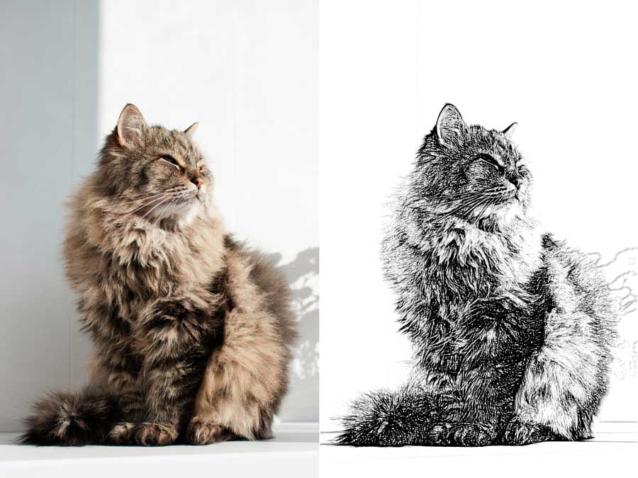 Top 10 Image to Sketch Tools in 2021 - Imglarger Blog