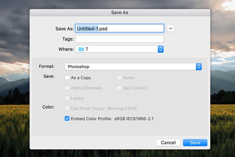 10 Common Photoshop Mistakes To Avoid: Useful Tips - Imglarger Blog